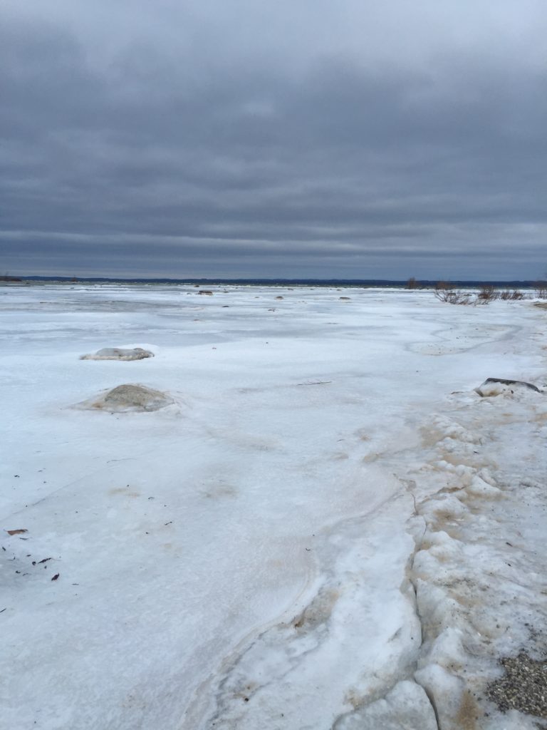 Chicago to Traverse City Road trip | Ghoomna Phirna