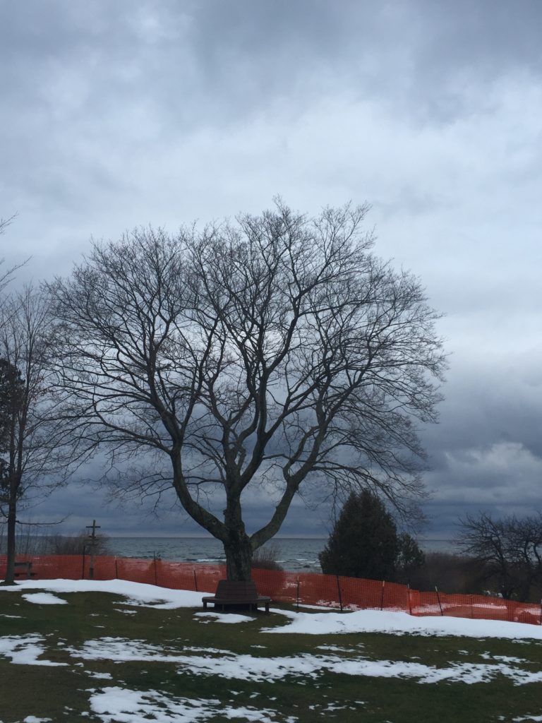 Chicago to Traverse City Road trip | Ghoomna Phirna